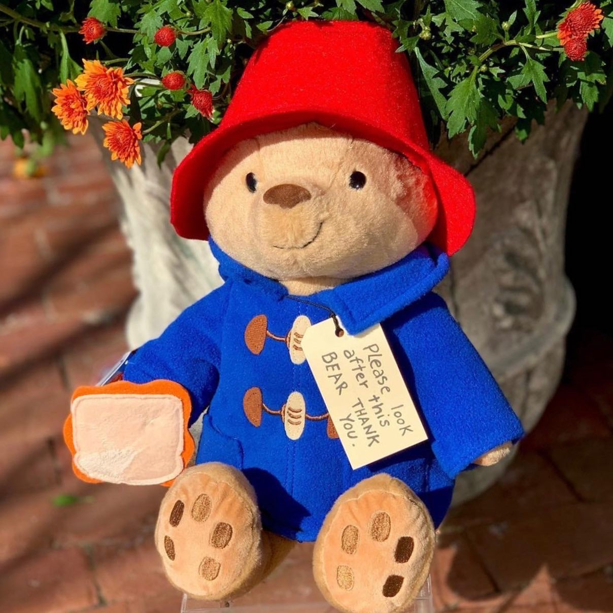 Classic Seated Paddington 12" Soft Toy – YOTTOY Productions